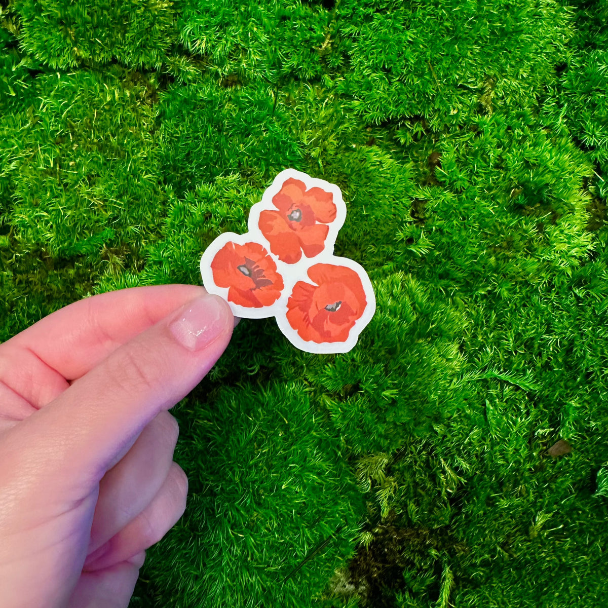 Poppy Sticker – Nola Creates